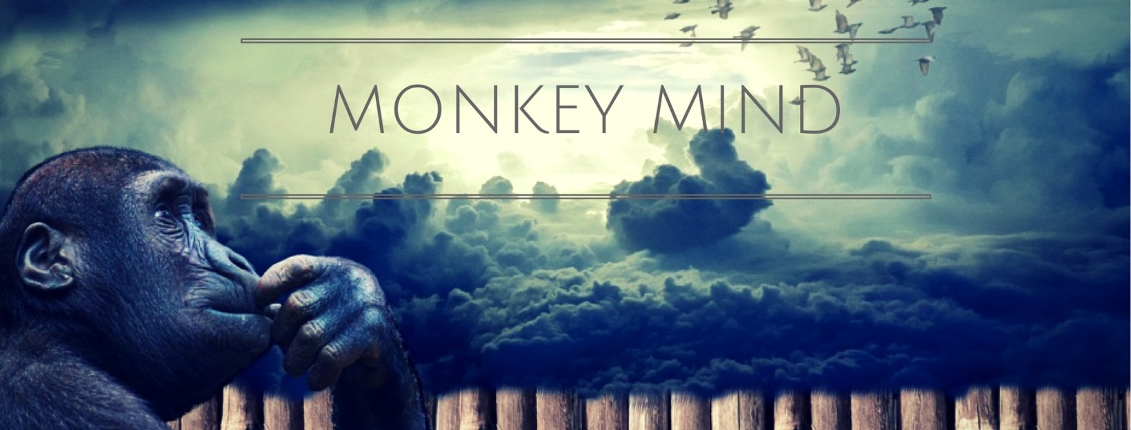 Monkey Mind – Kristal McEwen