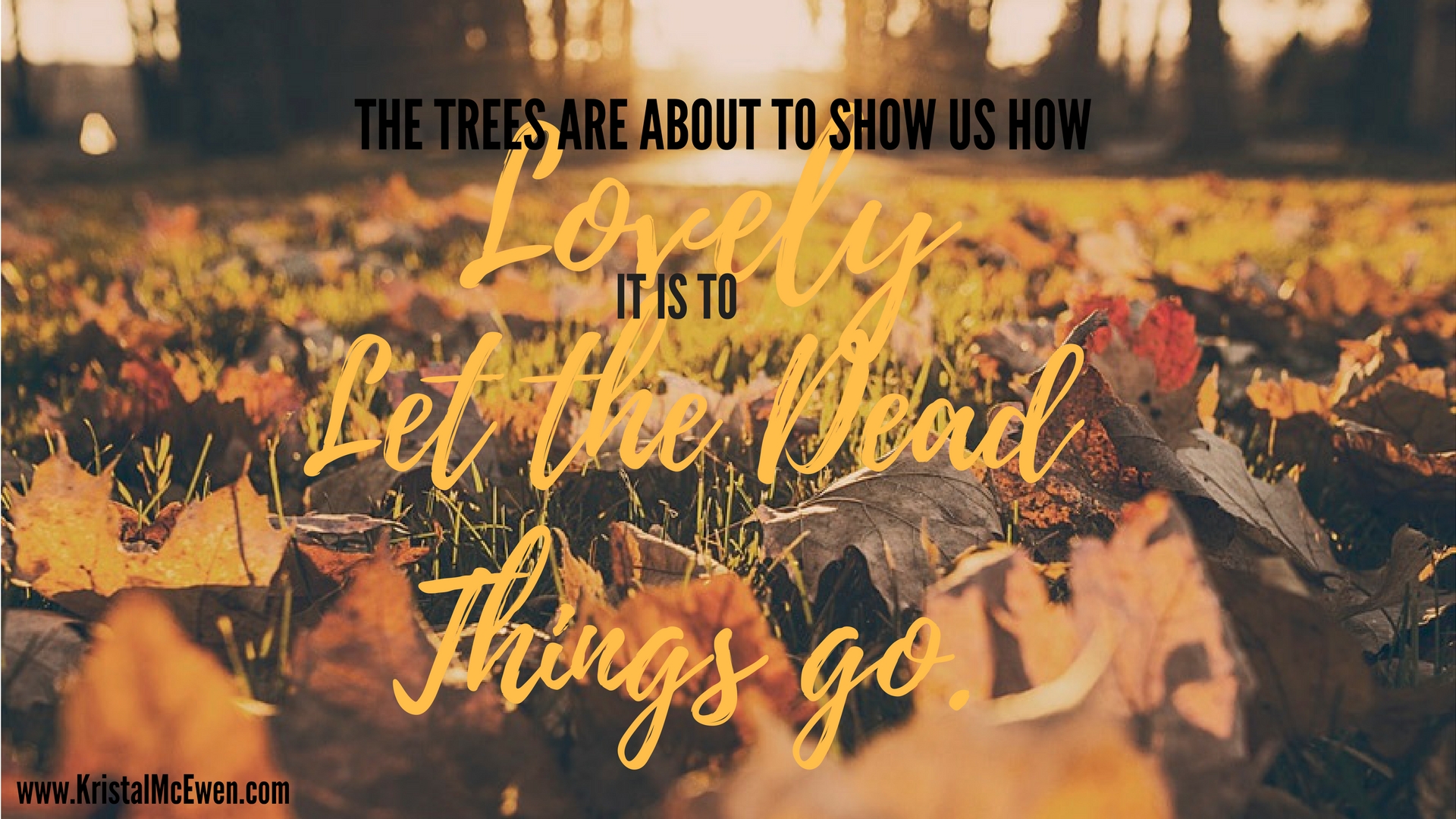 Autumn Equinox: Welcome Fall! – Kristal McEwen